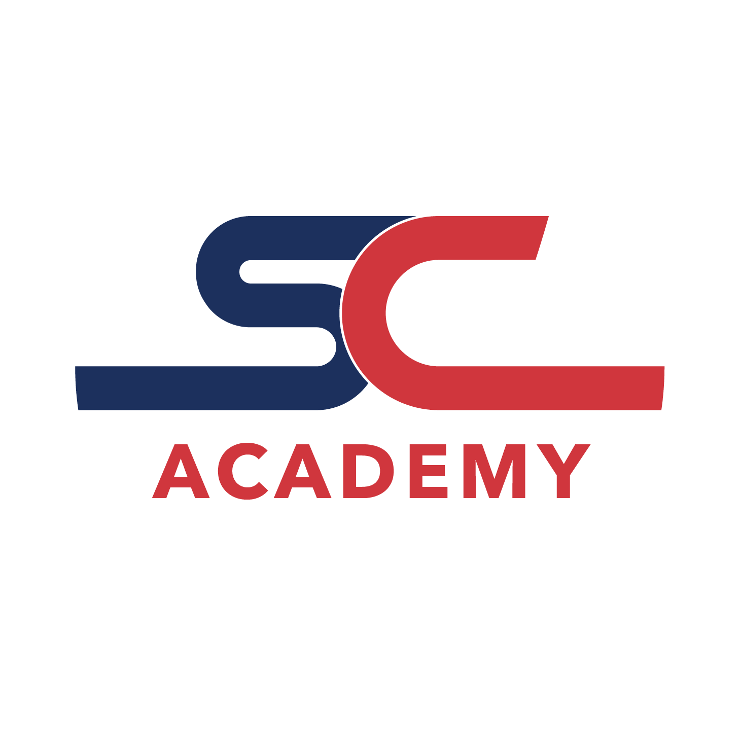 SC Newsletter - December 2025 - Specter Center